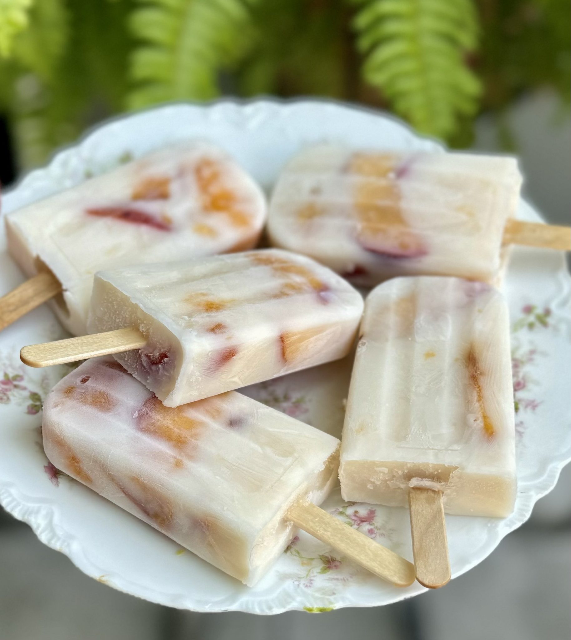 Nectarine And Yogurt Popsicles - Elissa's Fitness | Virtual and In-Home ...
